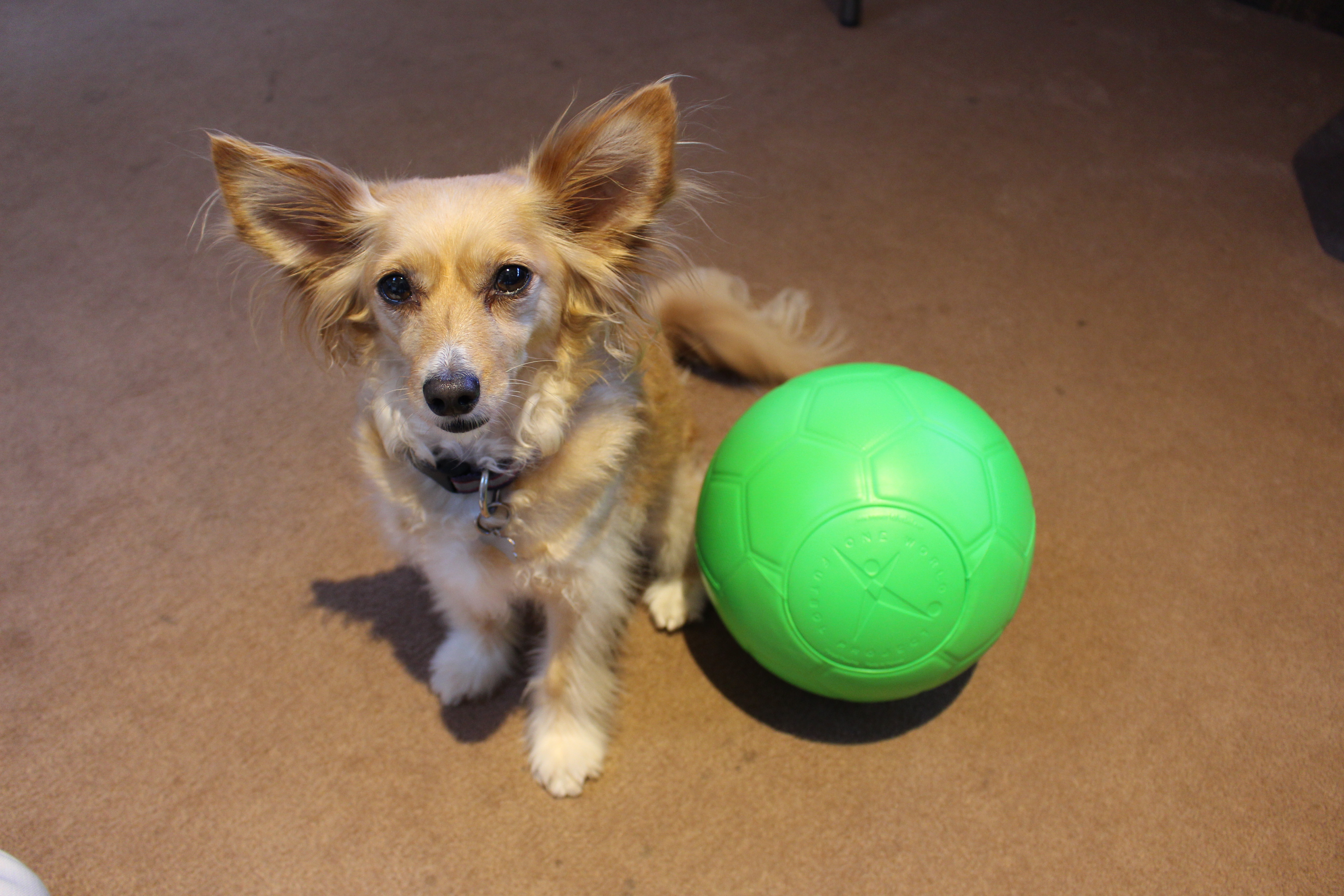 Choice 1 - One World Play Project